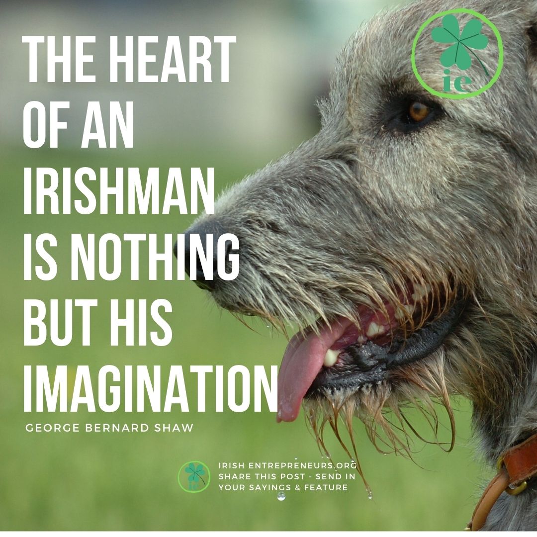 Irish Entrepreneurs – Grow Inspire Learn Share